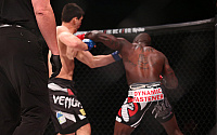 Melvin "No Mercy" Manhoef MMA Stats, Pictures, News, Videos, Biography ...