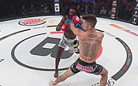Daniel Straus MMA Stats, Pictures, News, Videos, Biography - Sherdog.com