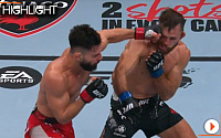 Connor "Bad News" Matthews MMA Stats, Pictures, News, Videos, Biography ...
