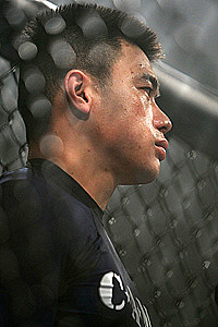 Johnson Nguyen MMA Stats, Pictures, News, Videos, Biography - Sherdog.com