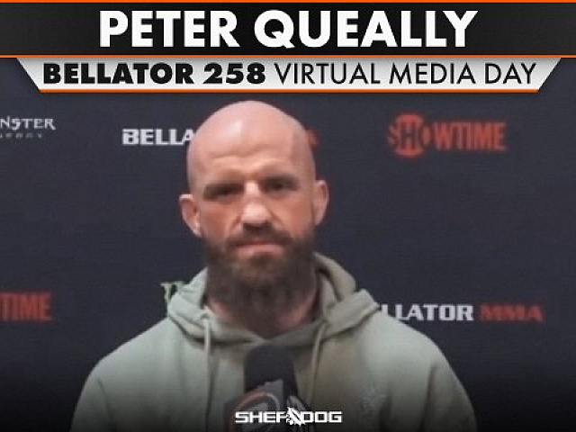 Peter "The Showstopper" Queally MMA Stats, Pictures, News, Videos ...